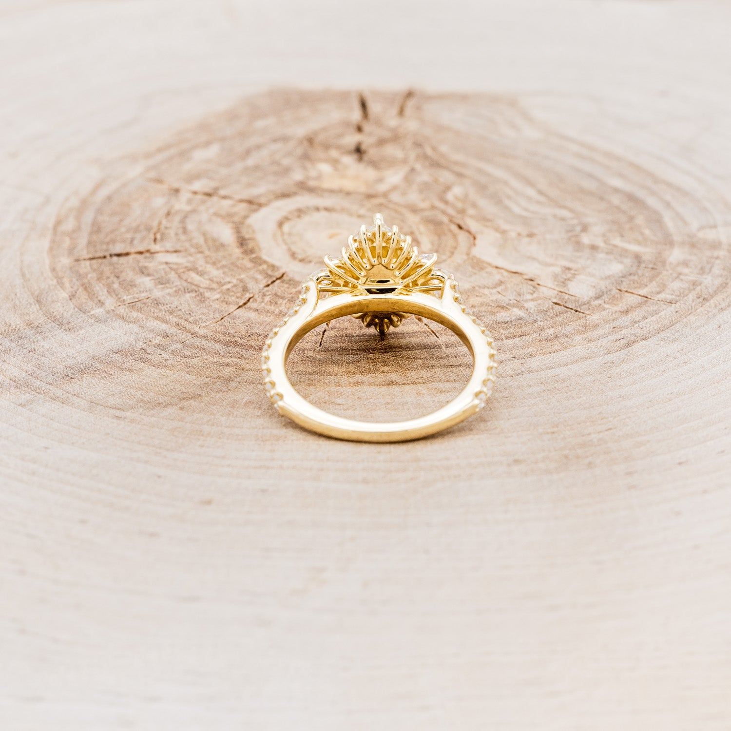 "Fritzi" Moissanite Engagement Ring with Diamond Accents in 14K Gold