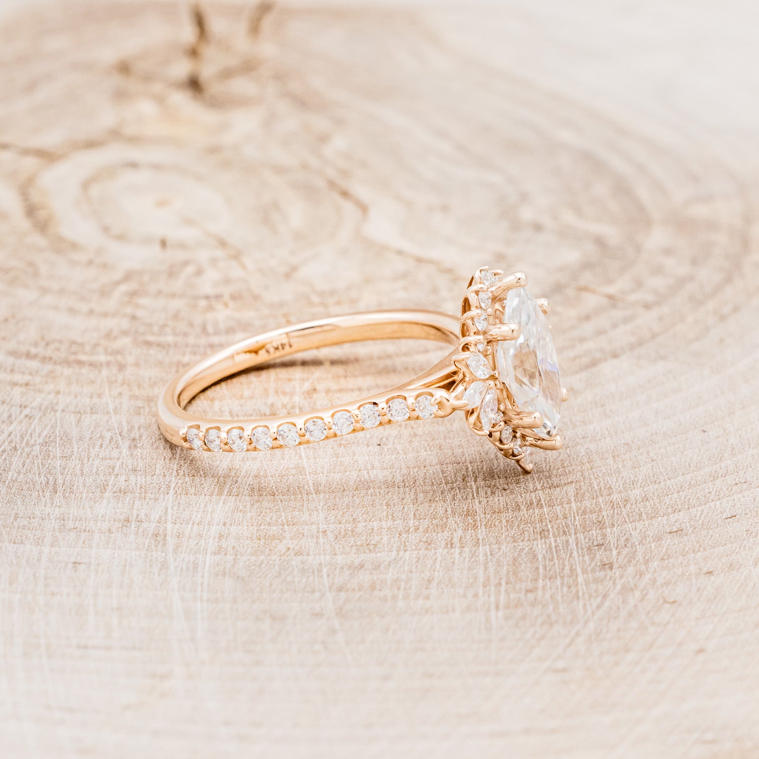 "Fritzi" Moissanite Engagement Ring with Diamond Accents in 14K Gold